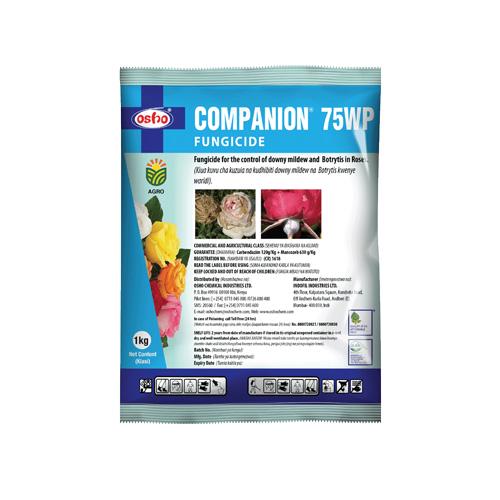 Companion 75 WP