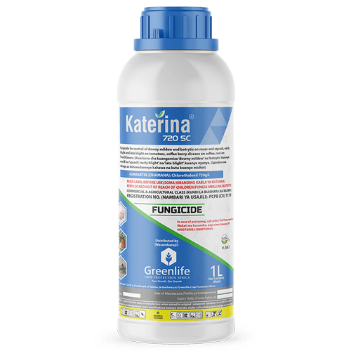 Katerina 720sc